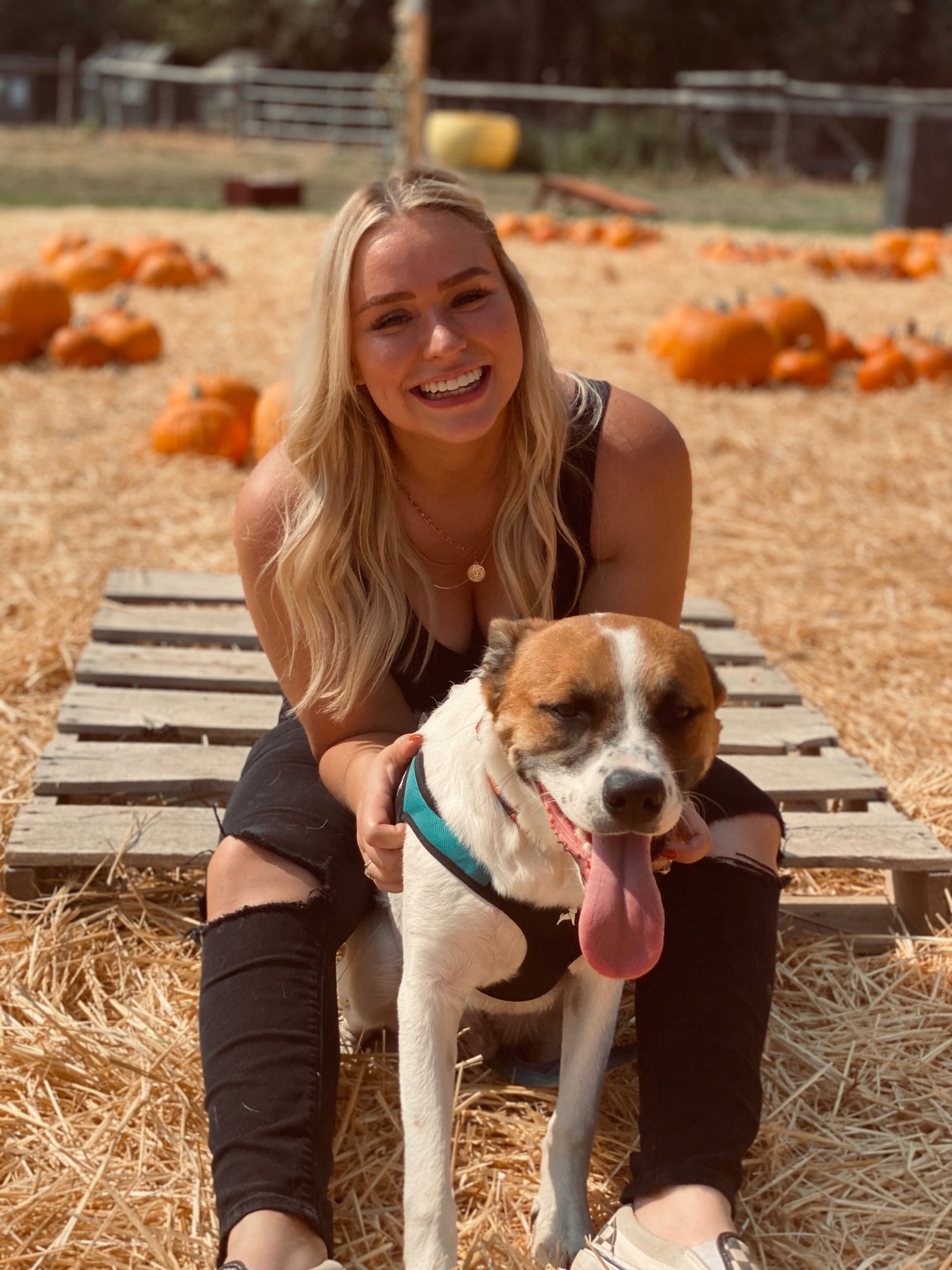 About – Three Little Pits